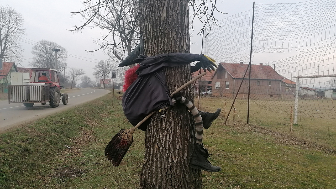 Proveravamo zašto se veštica u Rutevcu zakucala u drvo - Odjek